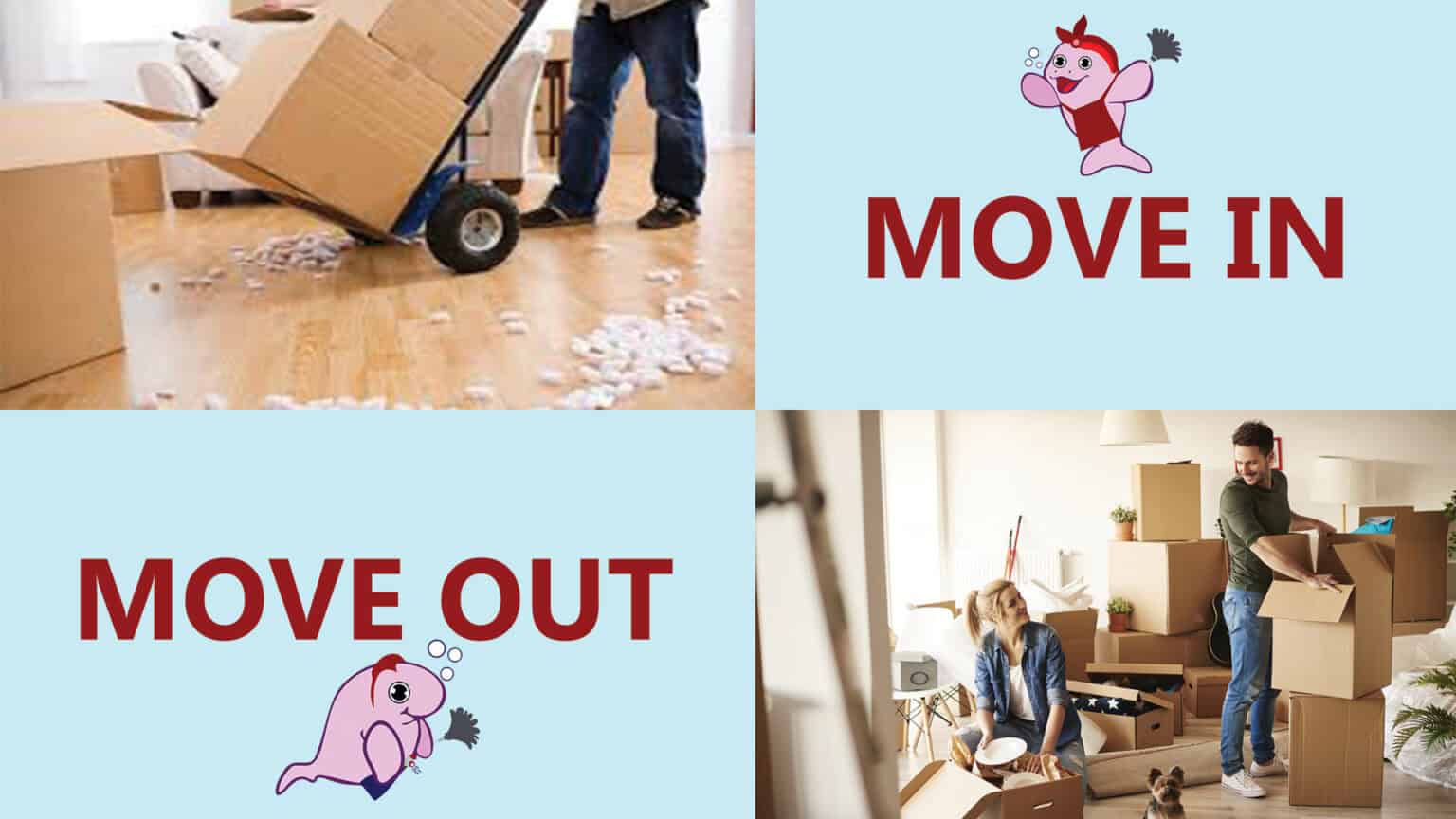 Move In Move Out Cleaning Services Manatee Ladies Cleaning